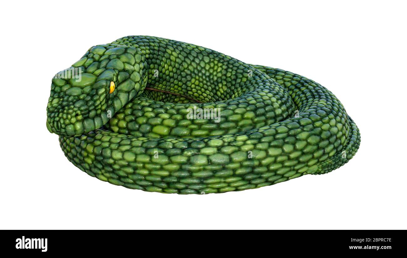 3D rendering of a green giant fantasy snake isolated on white ...