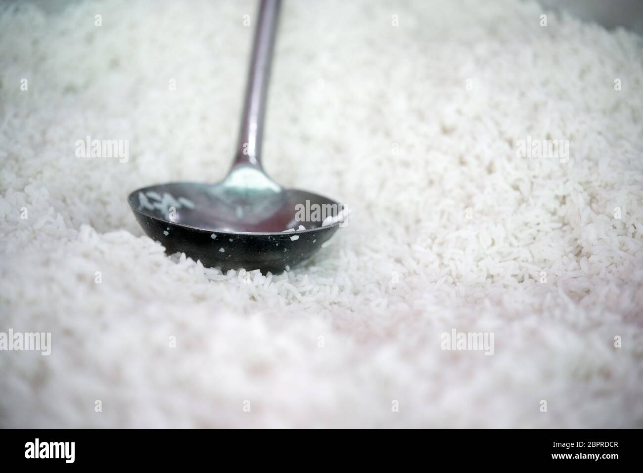 Steamed white rice with ladle Stock Photo - Alamy
