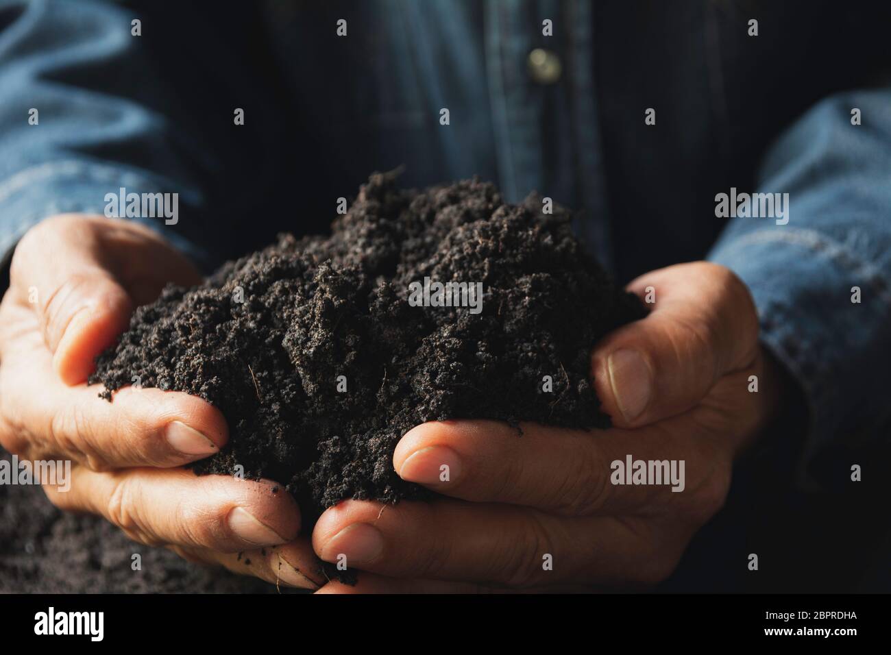 Male holding soil in the hands for planting concept Stock Photo - Alamy