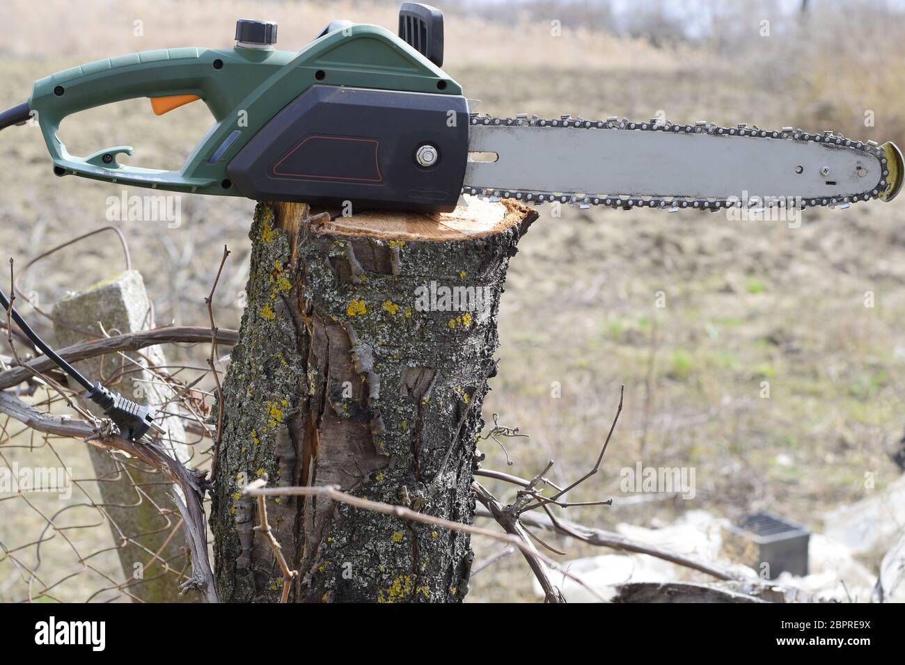 Chain sawn tree stump hi-res stock photography and images - Alamy