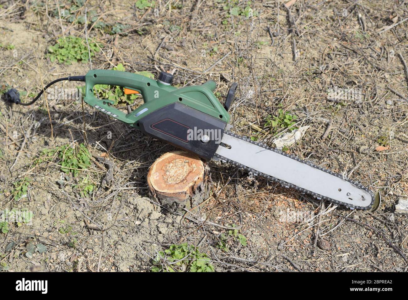 sawn electric sawing tree. The stump of saw cut branches Stock Photo ...