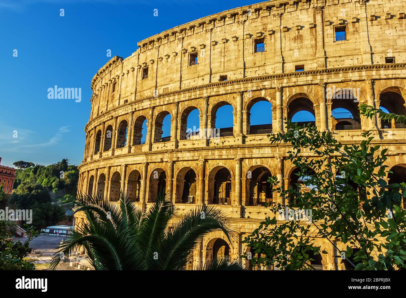 The Coliseum close view in a sunny summer day, Rome, Italy Stock Photo ...