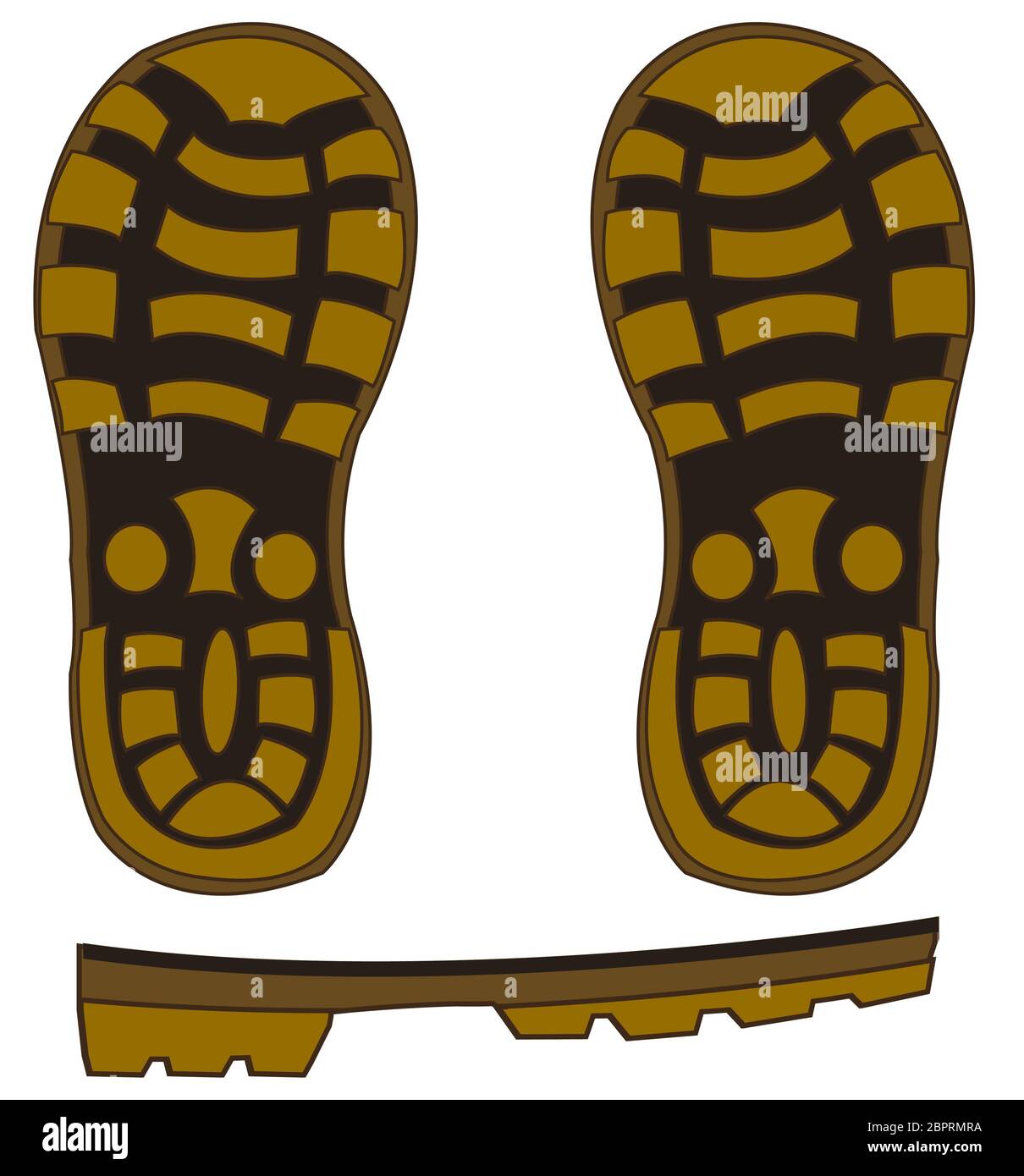 Vector illustration by sulphur of the sole footwear and drawing on her ...