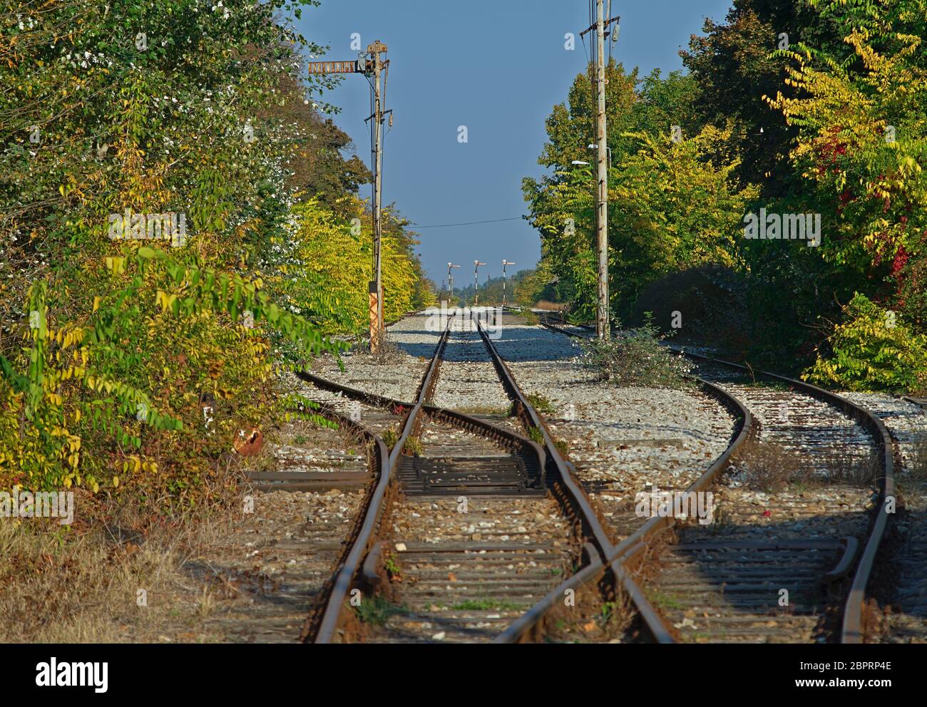 Empty railway tracks with greenery on both sides Stock Photo - Alamy