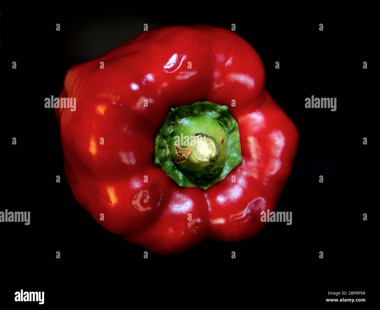 a dark red, large bell pepper photographed from the front and isolated ...