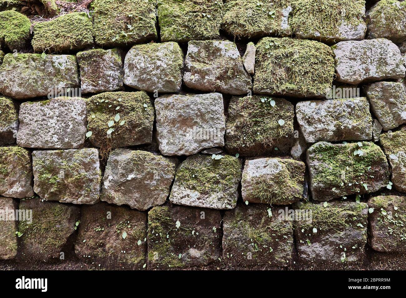 Old stone wall ruins overgrown with plants Stock Photo - Alamy