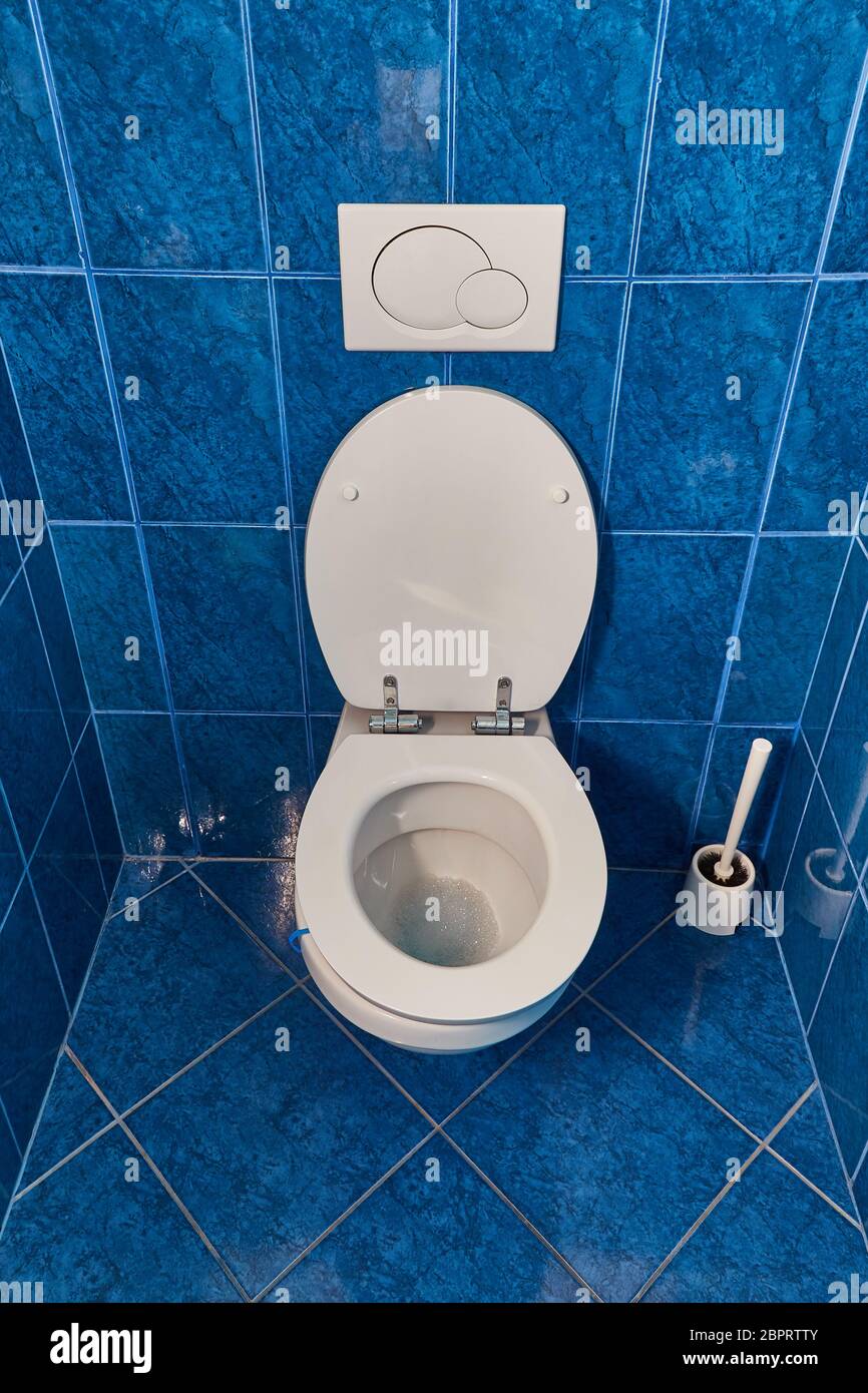 Toilet in blue tiled bathroom Stock Photo - Alamy