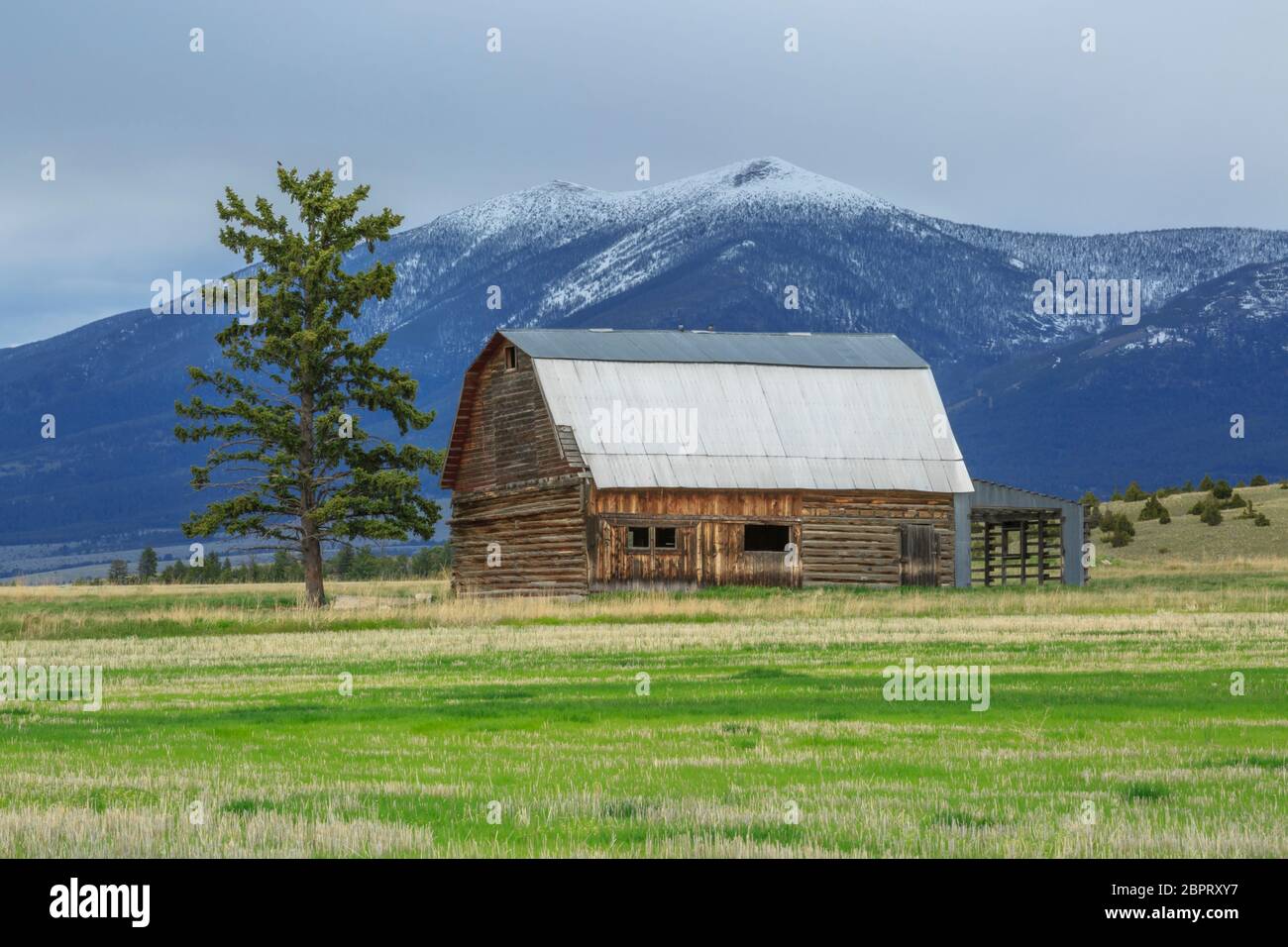 old log barn below mount baldy near townsend, montana Stock Photo - Alamy