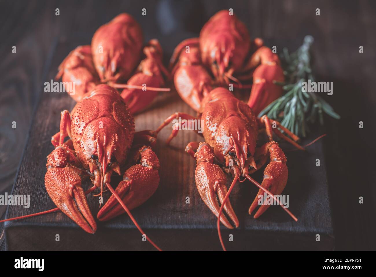Close up whole cooked crayfish hi-res stock photography and images - Alamy