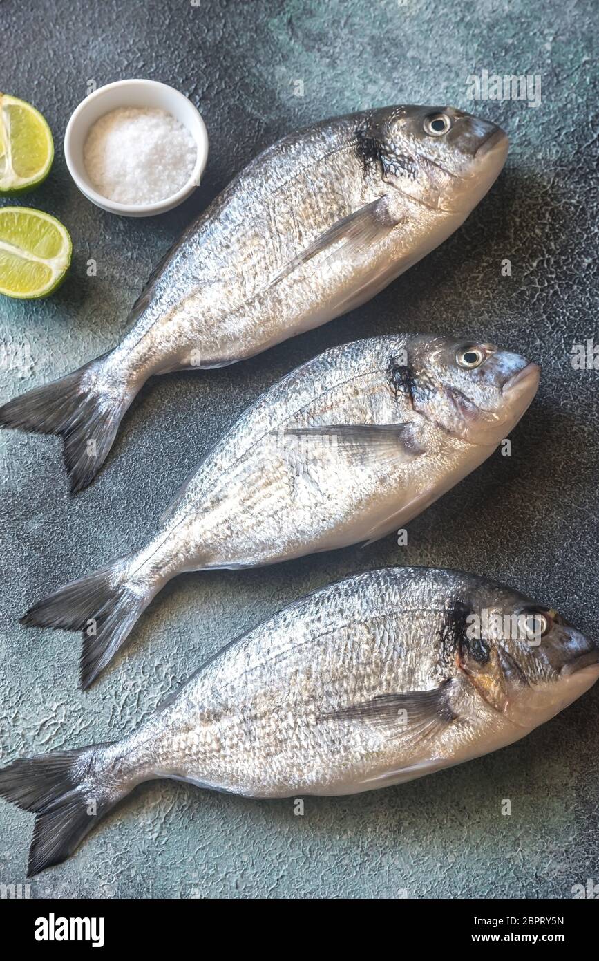 Two raw dorada fish hi-res stock photography and images - Alamy