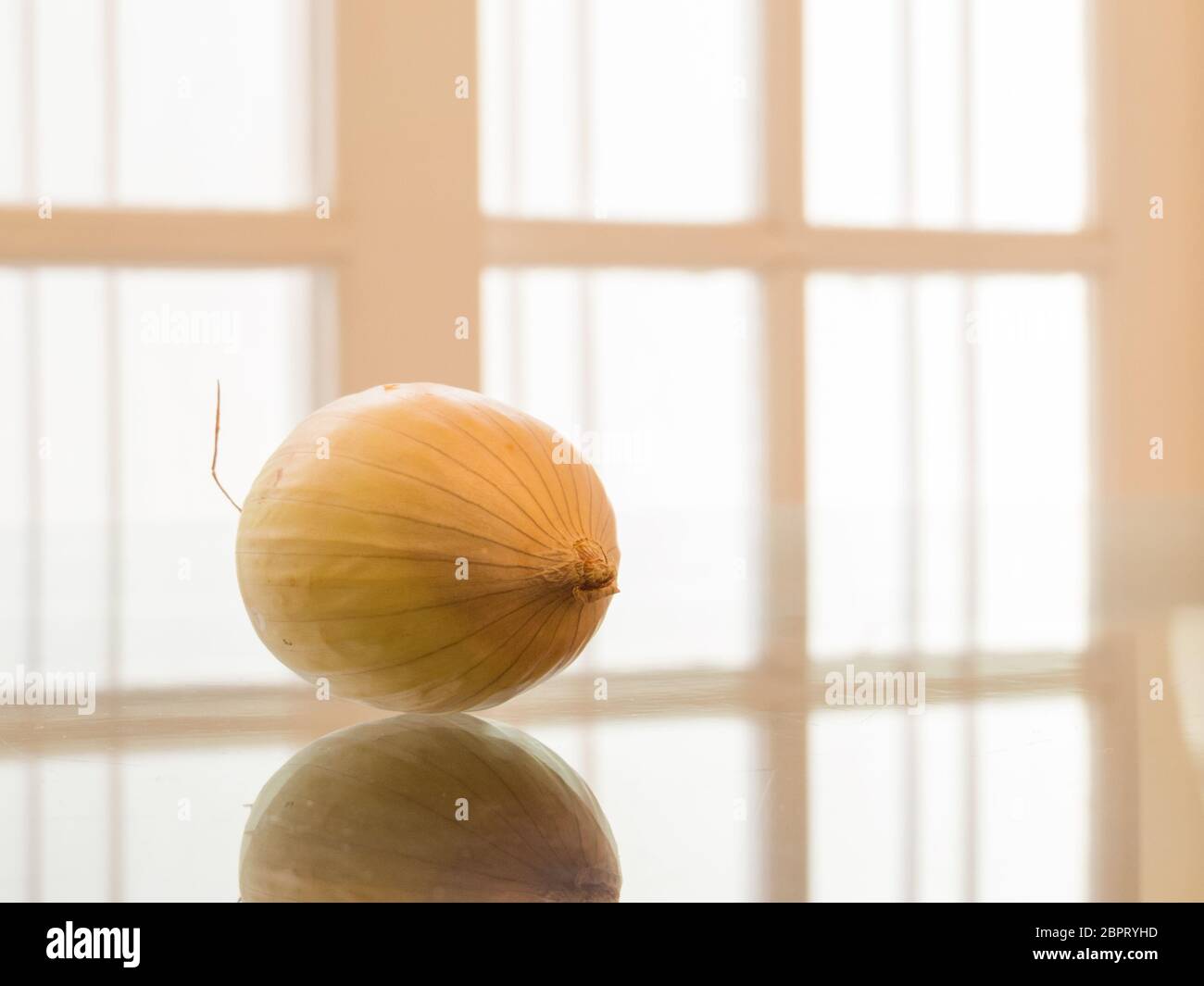 One whole onion reflected, with white background Stock Photo - Alamy