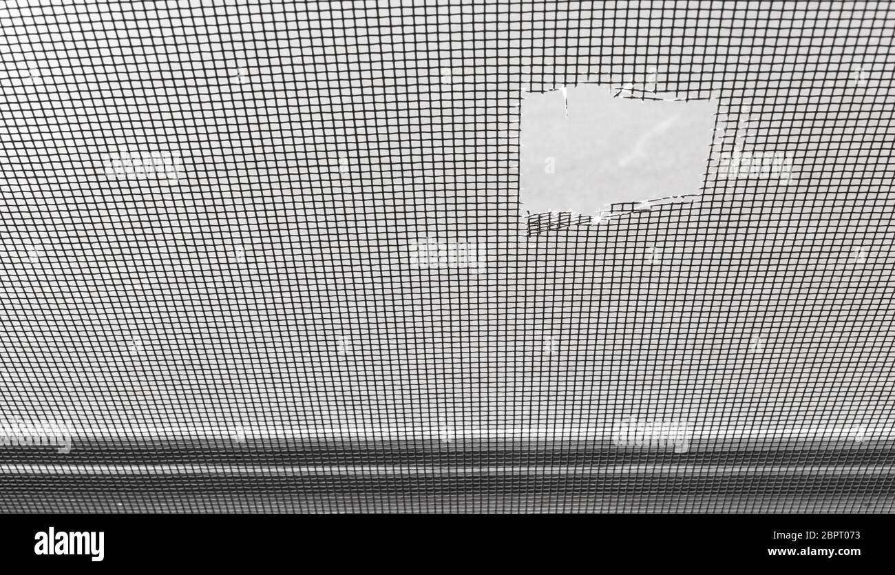 Torn screen door hi-res stock photography and images - Alamy