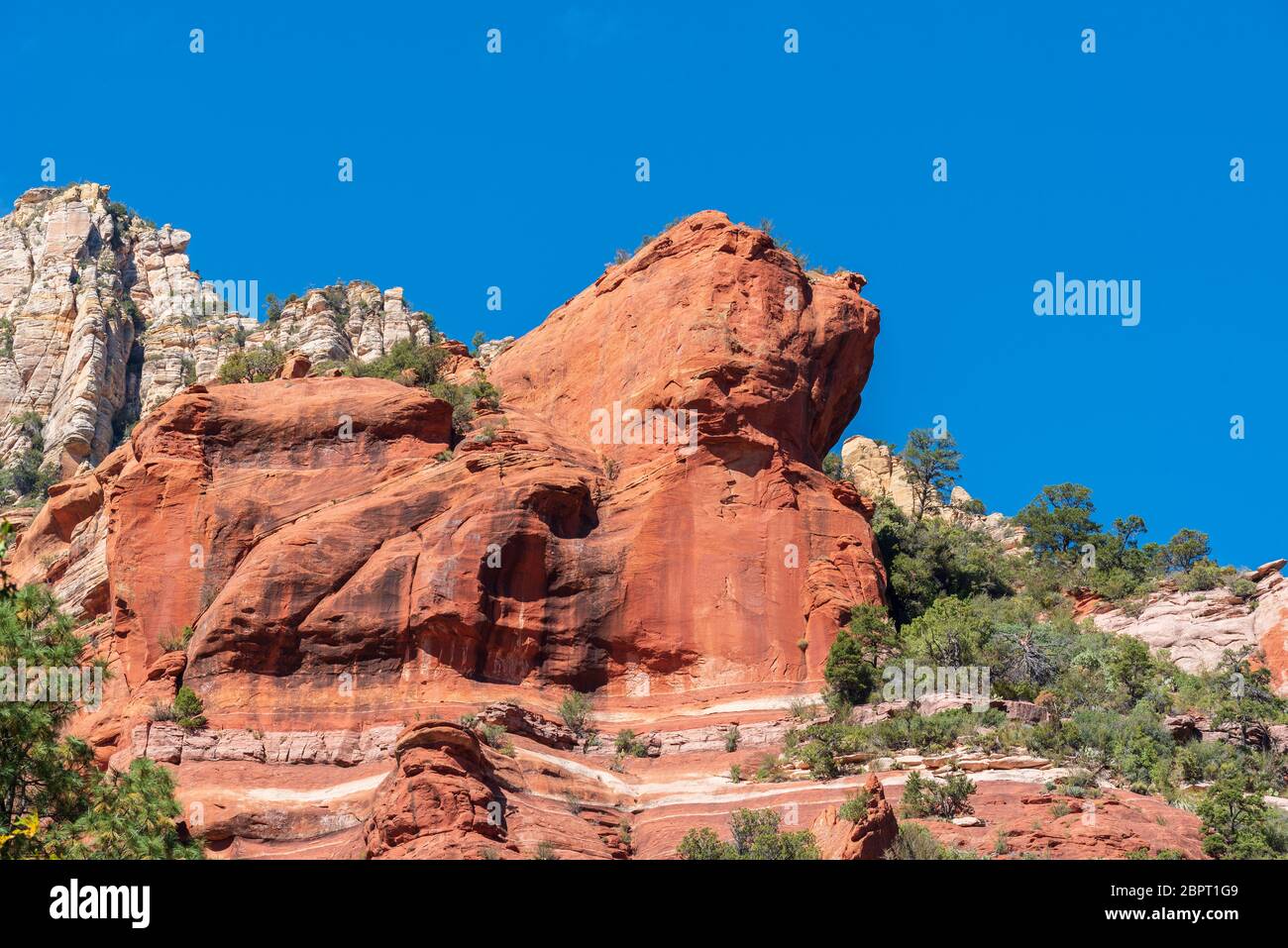 Rock slide trees hi-res stock photography and images - Alamy