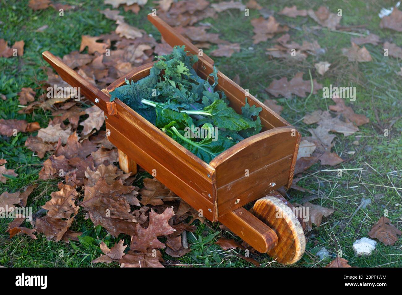 A small wooden wheelbarrow Stock Photo - Alamy