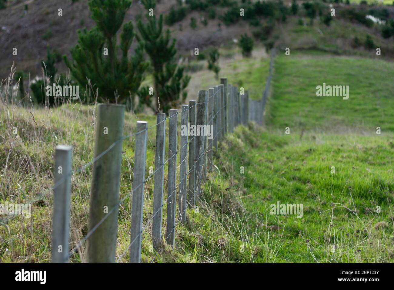 A boundary fence in a rural area Stock Photo - Alamy