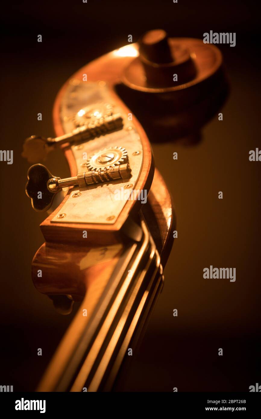 Close up shot of a double bass scroll and tuning pegs Stock Photo - Alamy