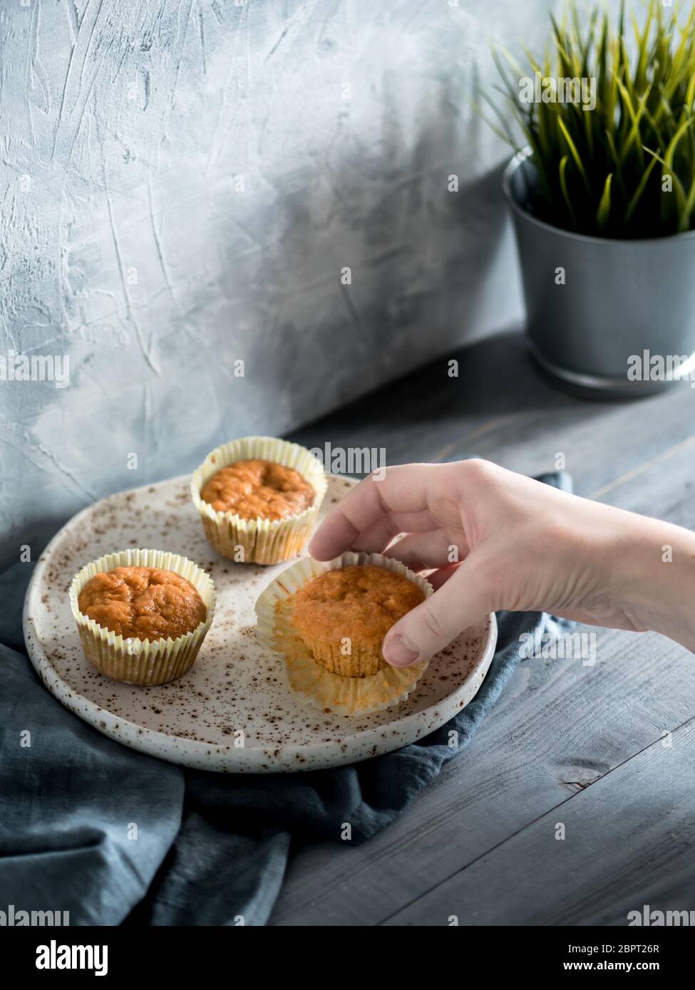 Homemade muffins on craft plate over gray wooden table. Hand hold ...