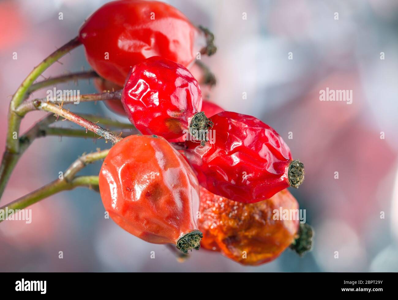 Stacking RAW 2.1, 2.2 Stock Photo - Alamy