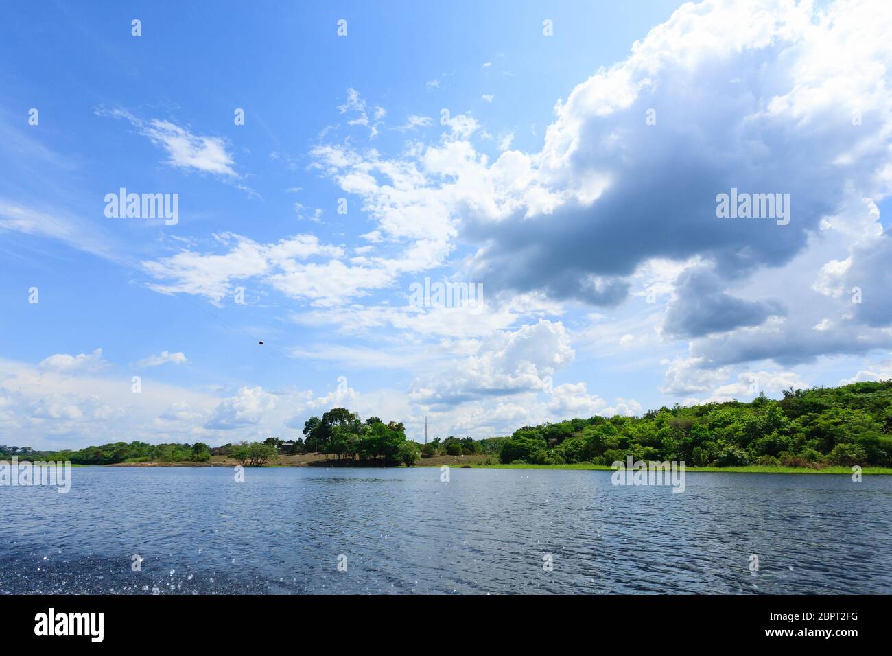 Amazon Rainforest Landmarks at Jasmine Satterwhite blog