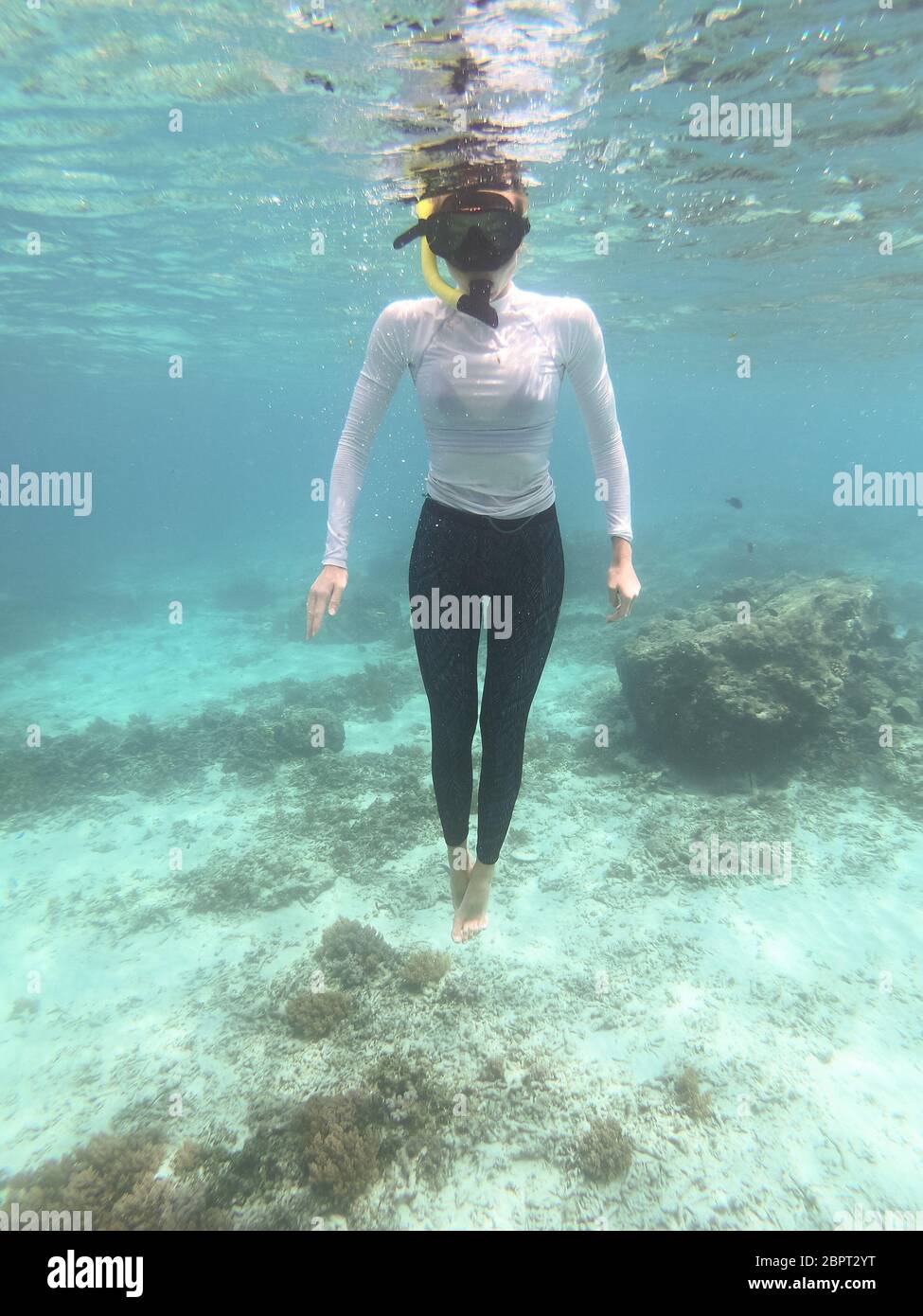 Diver wearing blue clothes hi-res stock photography and images - Alamy