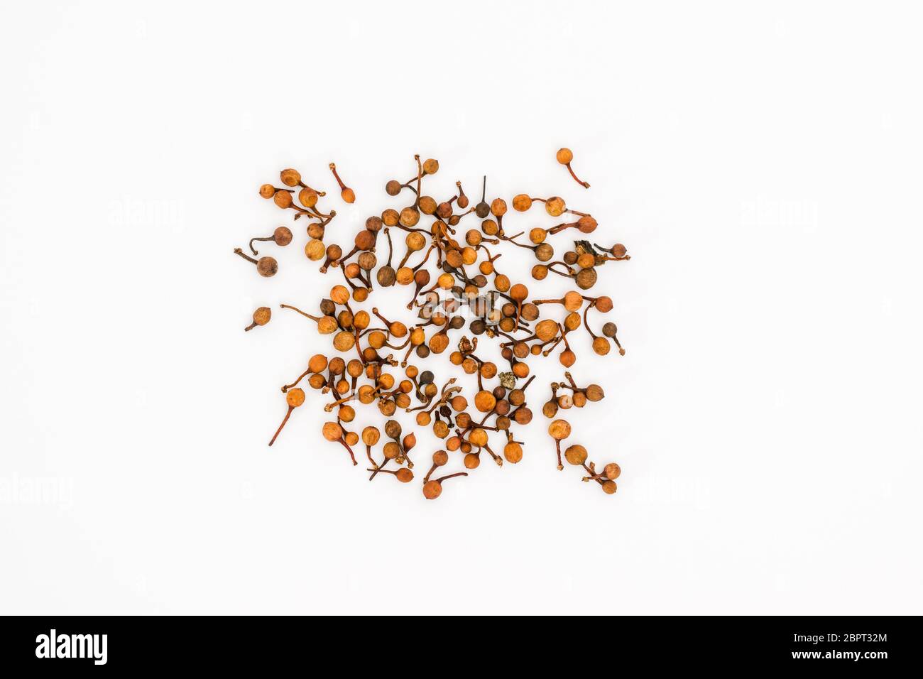 Indian rose chestnut or Nagakesar (Mesua ferrea) seeds on a white ...