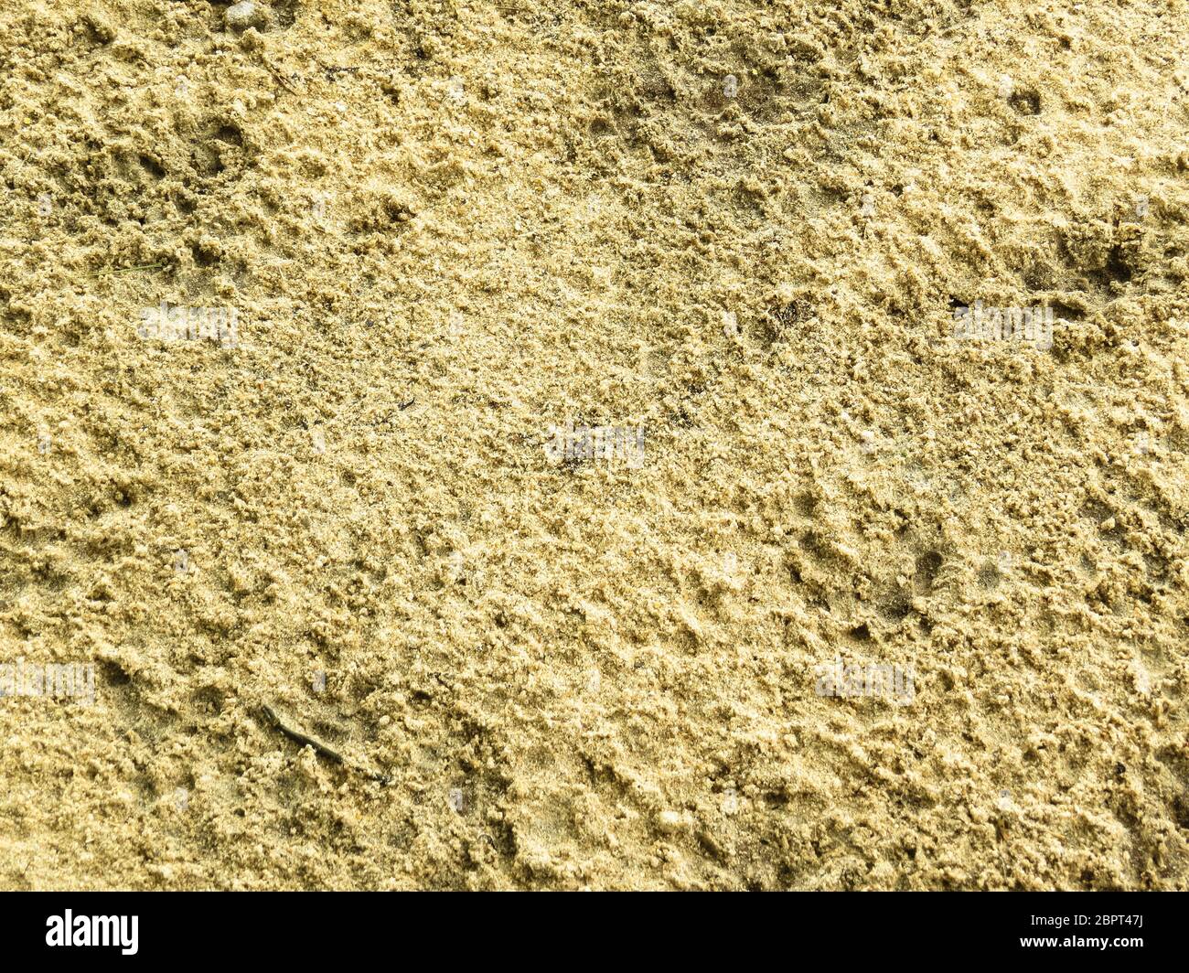 Delicate texture of beach sand after rain Stock Photo - Alamy