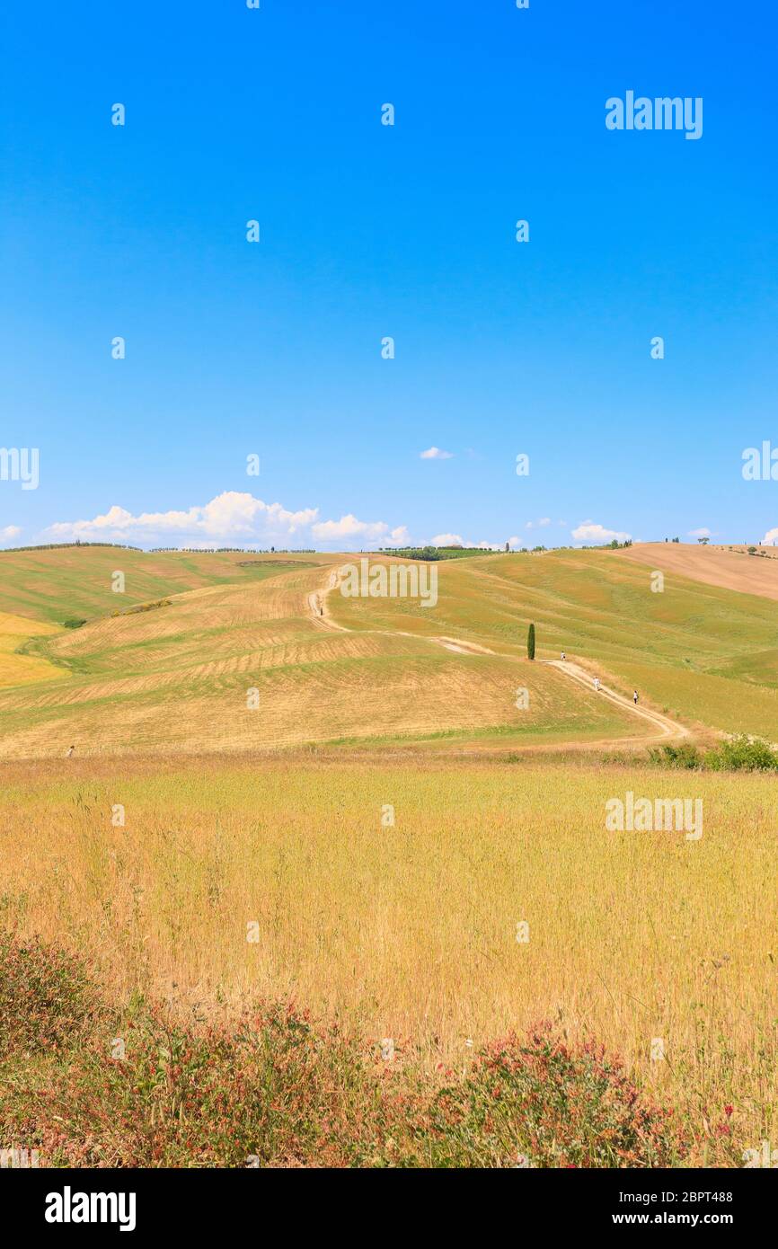 Tuscany hills landscape, Italy. Rural italian panorama Stock Photo - Alamy