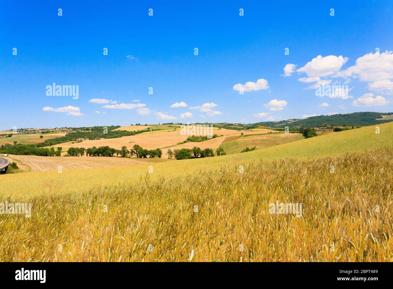 Tuscany hills landscape, Italy. Rural italian panorama Stock Photo - Alamy