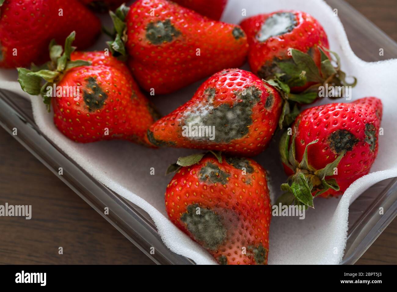Strawberries with mold Stock Photo - Alamy