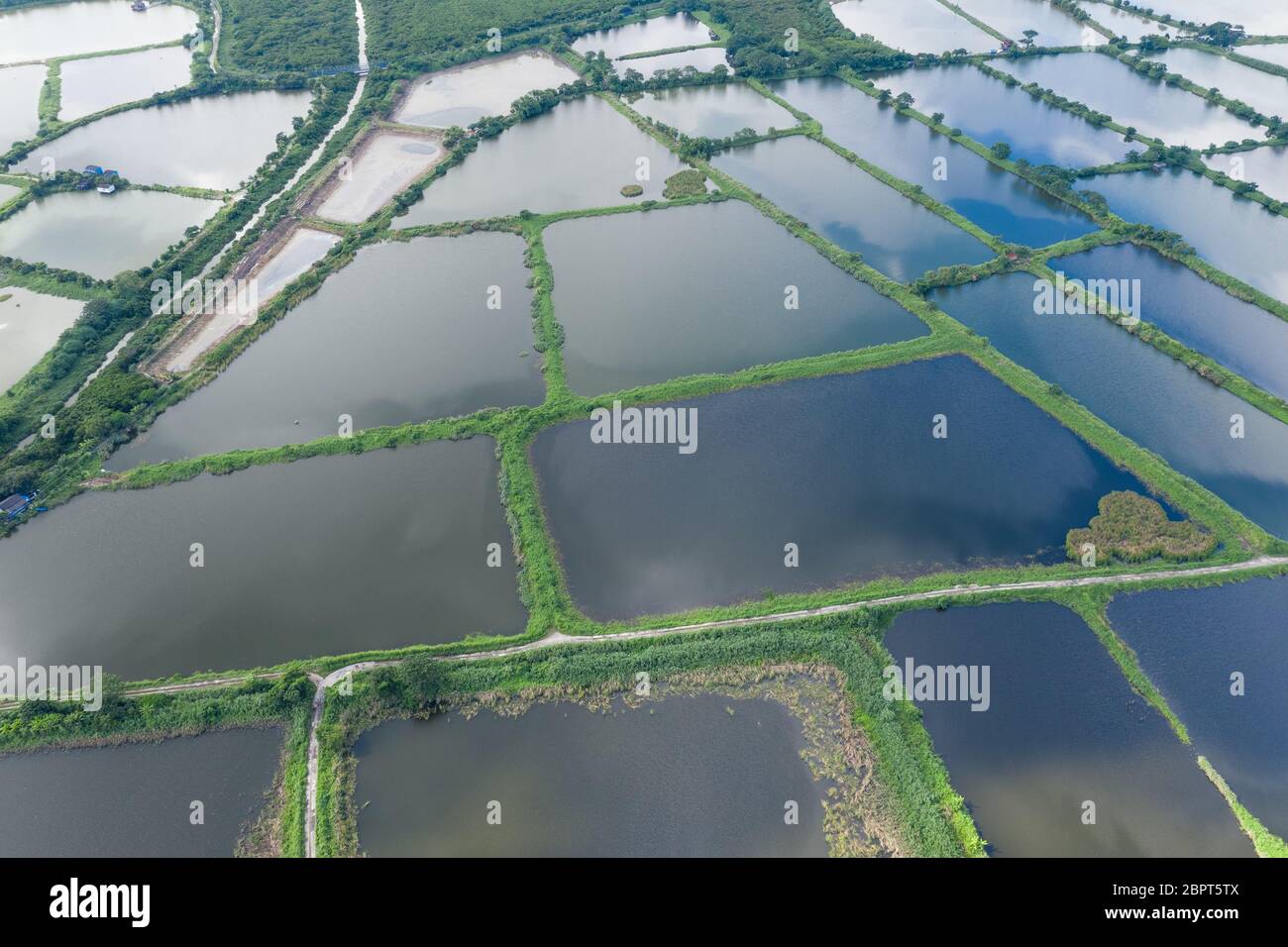 Aerial view of Fish hatchery pond Stock Photo - Alamy