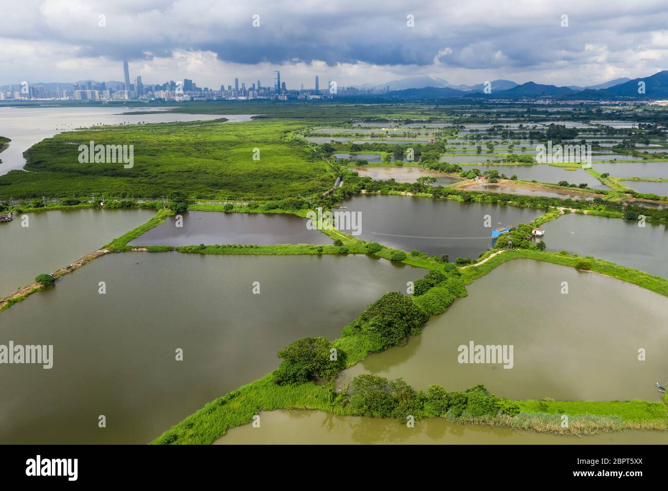 Top view of Fish hatchery pond Stock Photo - Alamy