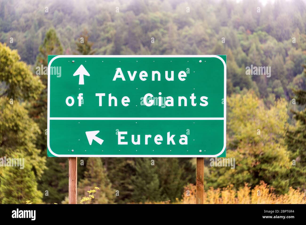 Highway sign for Eureka and the Avenue of The Giants near Humboldt ...