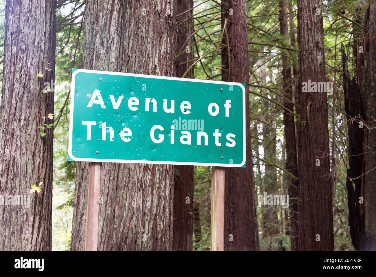 Highway sign for the Avenue of the Giants near Humboldt Redwoods State ...