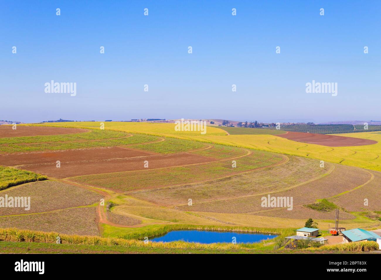 Valley of a Thousand hills landscape. Yellow fields panorama. South ...
