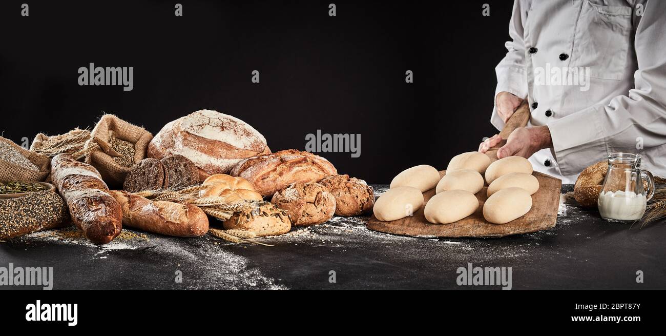 Baker holding a wooden paddle with formed dough ready to bake loaves of ...
