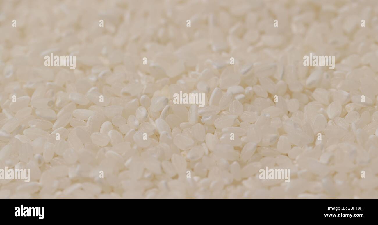 Paddy rice in pile Stock Photo - Alamy