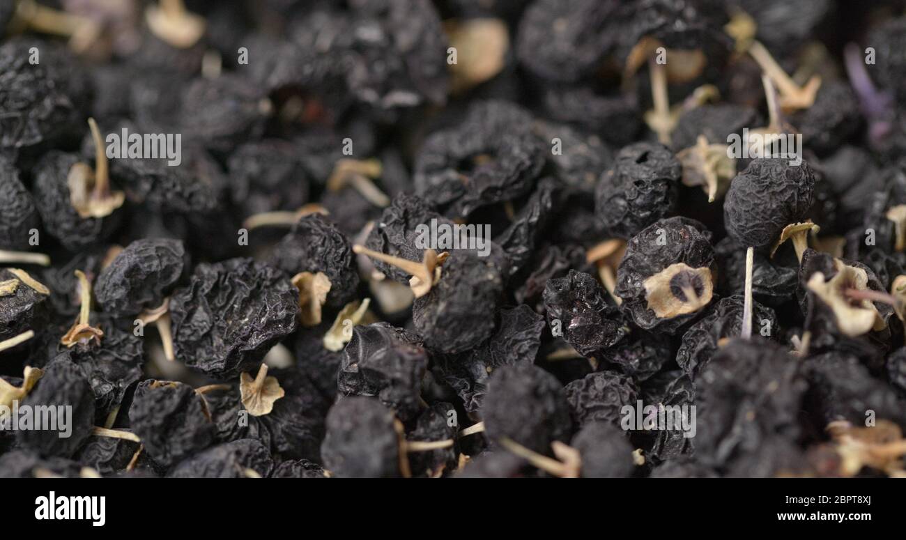 Lycium ruthenicum hi-res stock photography and images - Alamy