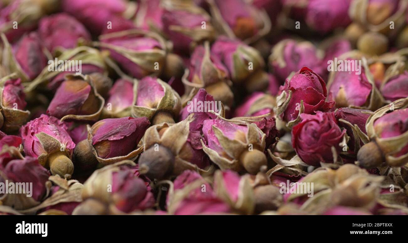 Herbal rose tea Stock Photo - Alamy