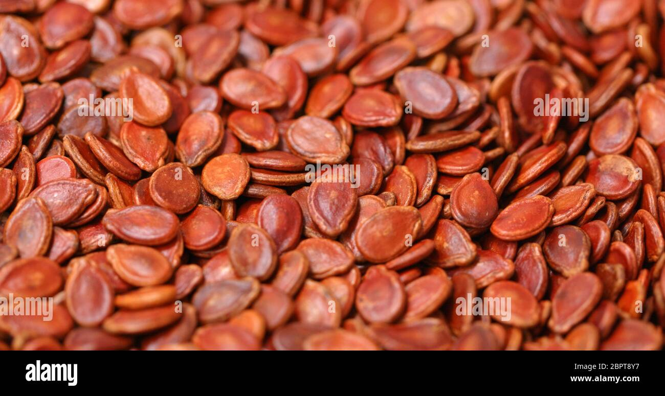 Red watermelon seed Stock Photo - Alamy