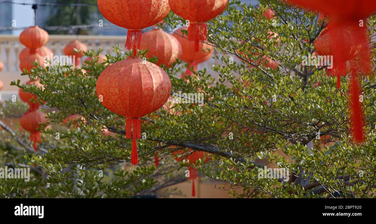 Red lantern for chinese new year Stock Photo - Alamy