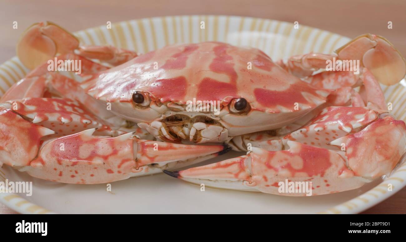 Steamed flower crab Stock Photo - Alamy