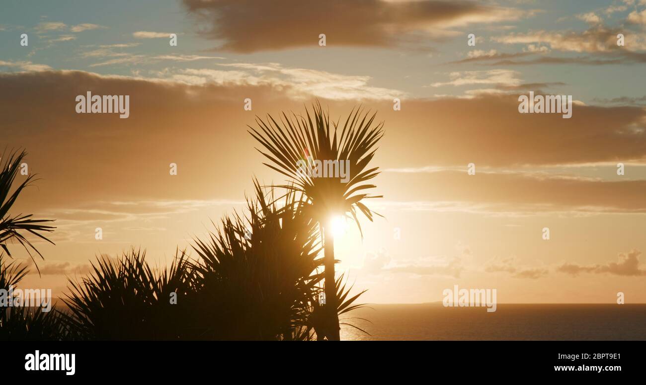 Sunset with tree and sky Stock Photo - Alamy