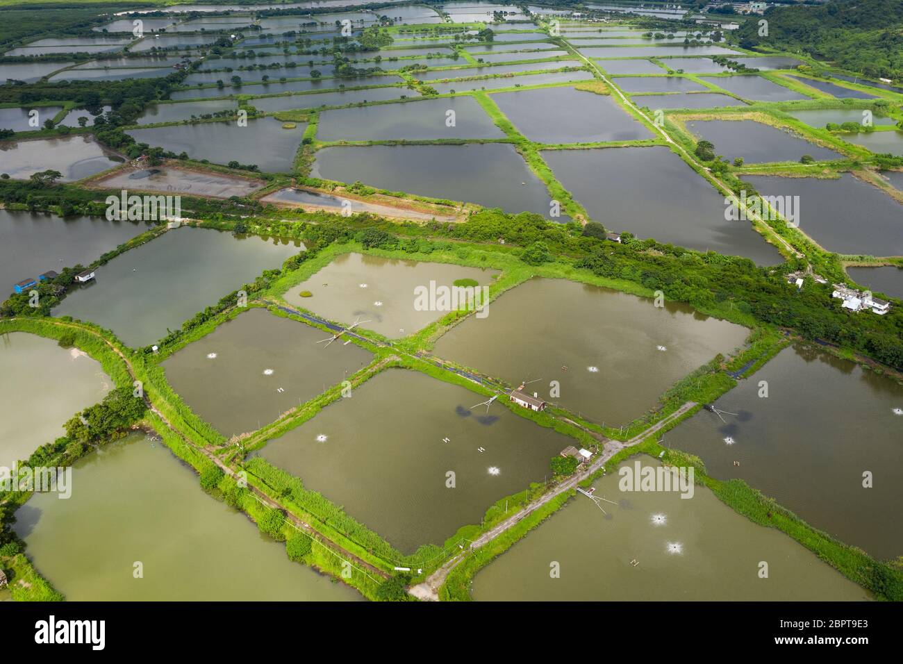Aerial view Fish hatchery pond Stock Photo - Alamy
