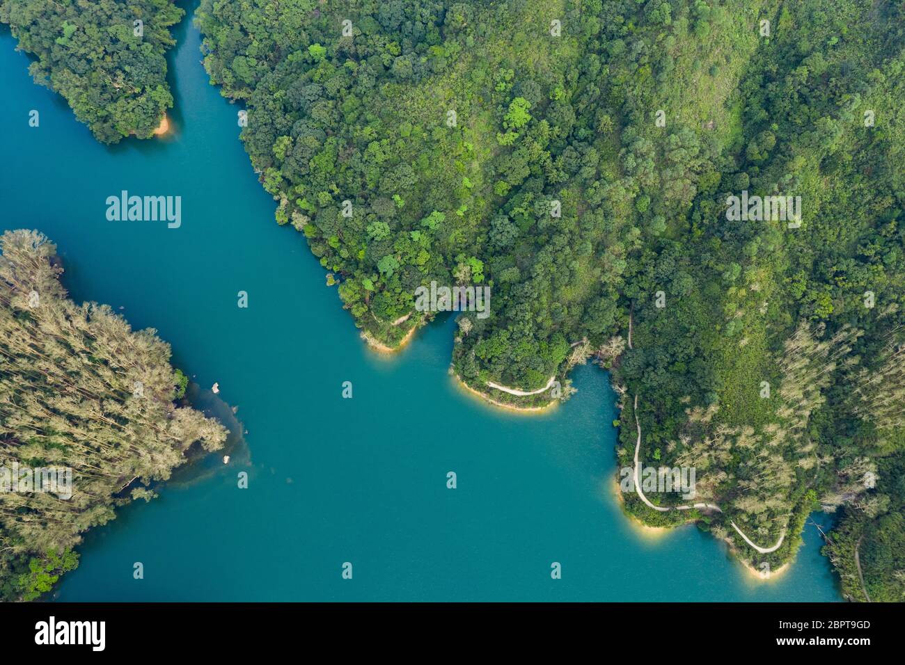 Top view of Lake and forest Stock Photo - Alamy