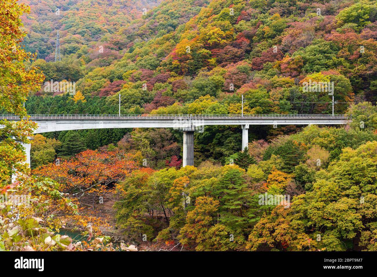 Sendai japan autumn hi-res stock photography and images - Alamy