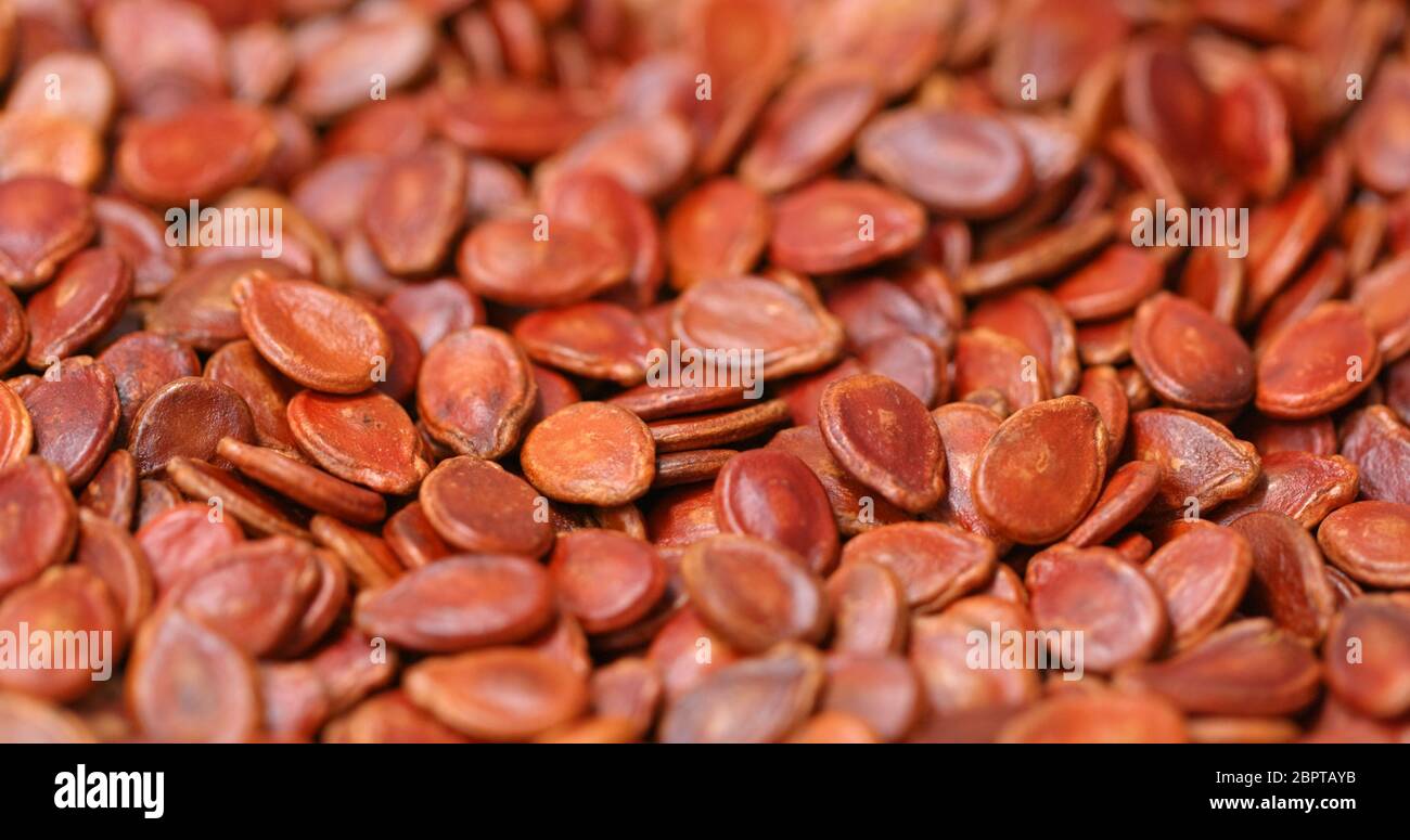 Chinese plant watermelon hi-res stock photography and images - Alamy