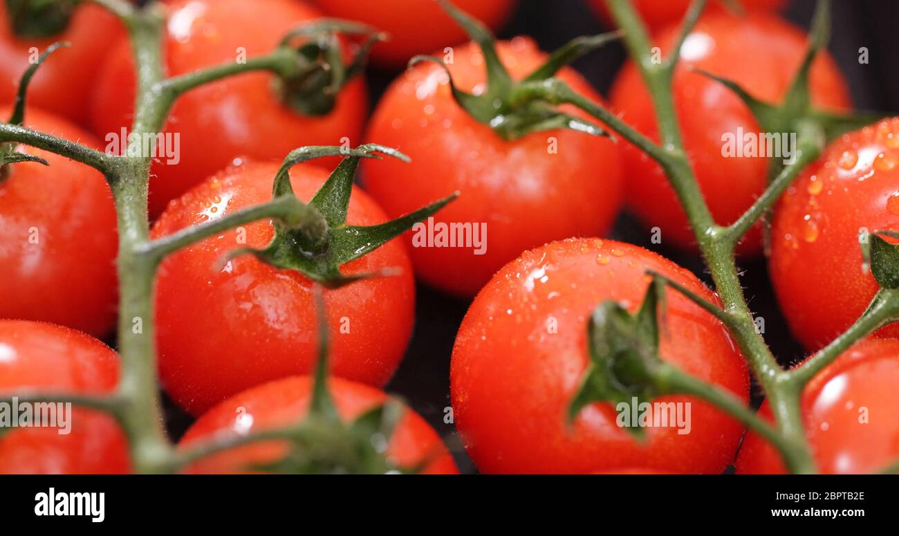 Red cherry tomato Stock Photo - Alamy