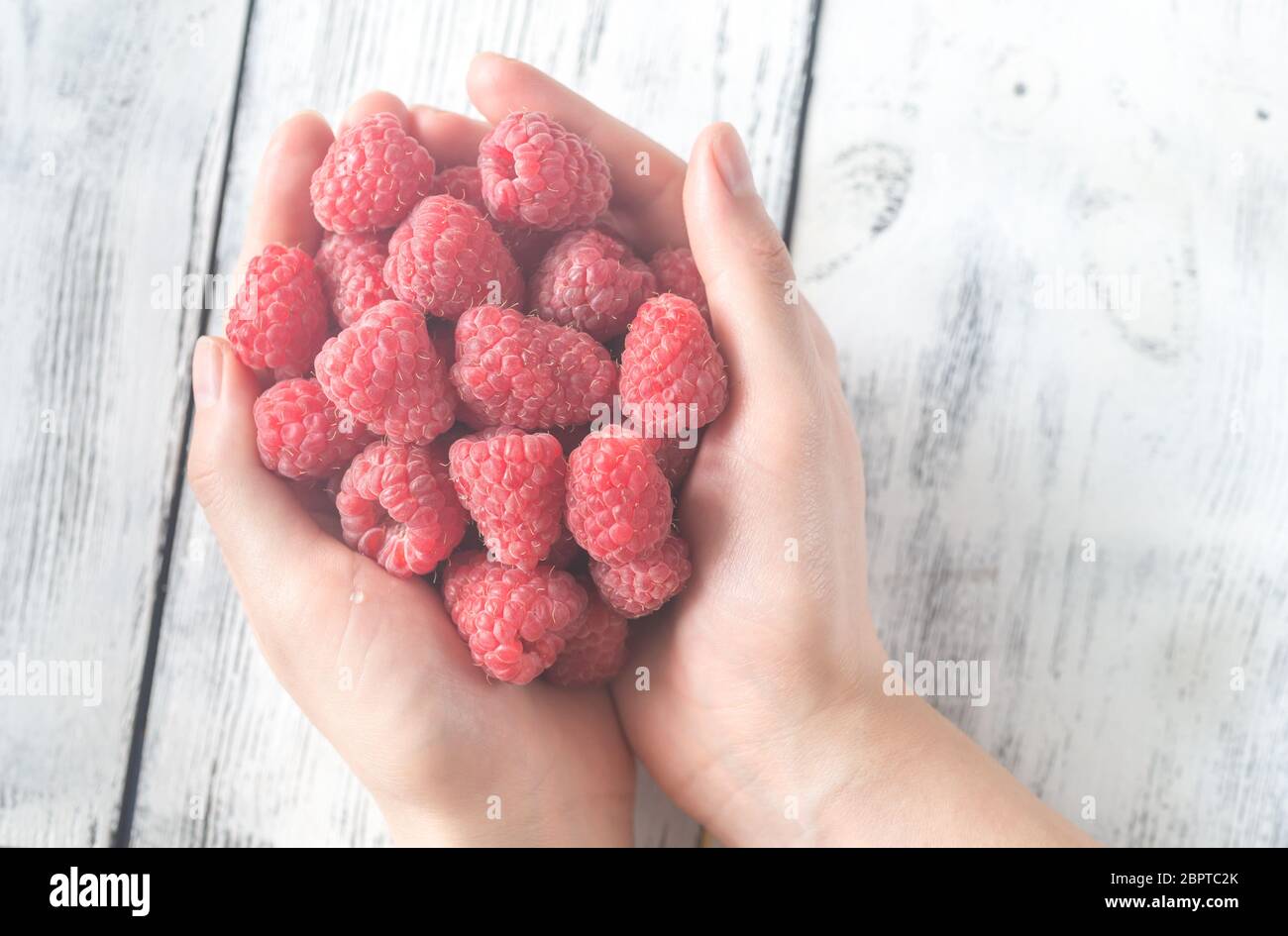 Hands holding raspberries hi-res stock photography and images - Alamy