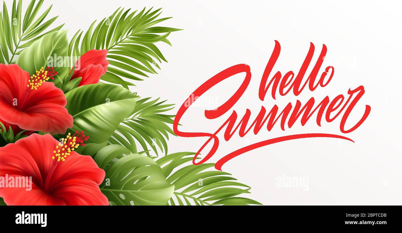 Hibiscus flower vector hi-res stock photography and images - Alamy