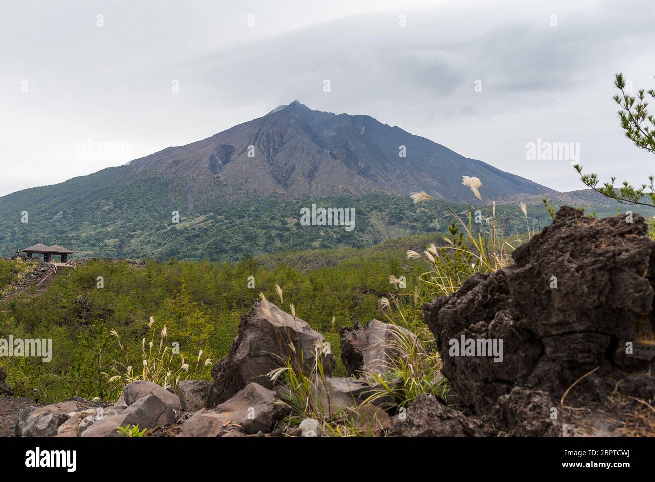 Sakurajima in japan Stock Photo - Alamy